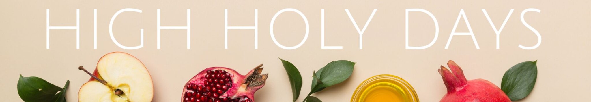High Holy Days | KAM Isaiah Israel - Chicago Reform Jewish Community